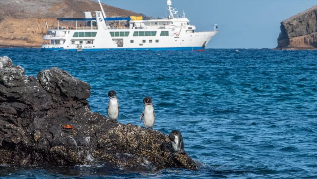 Everything you need to know about Small Cruise Ships