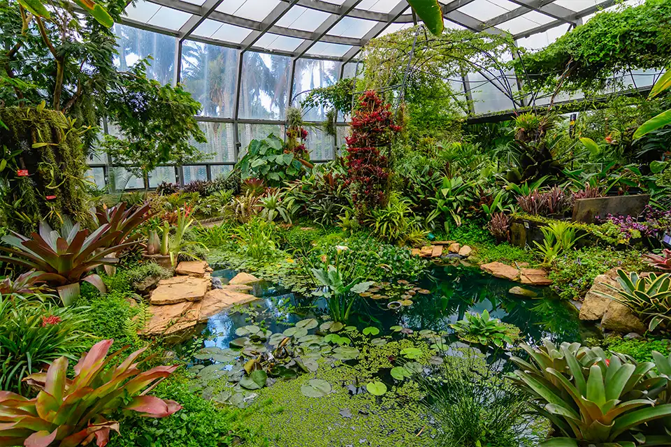 The 15 Best Things to Do in Bogota, Colombia