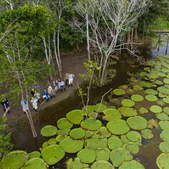 Best Time to Visit the Peruvian Amazon